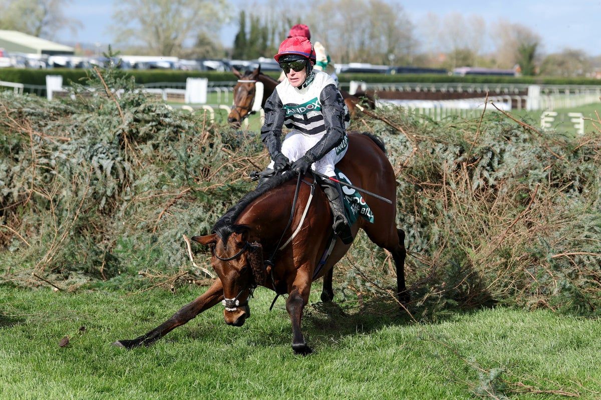 Grand National debutant hit with 10-day ban