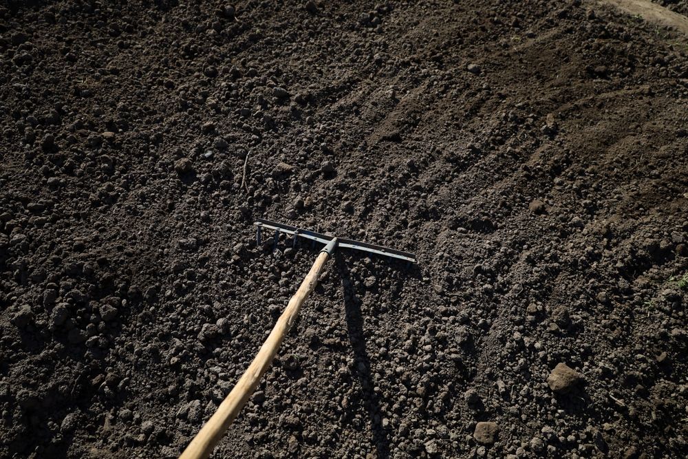 Spring Thaw Warning: Why Your Garden Needs These 3…