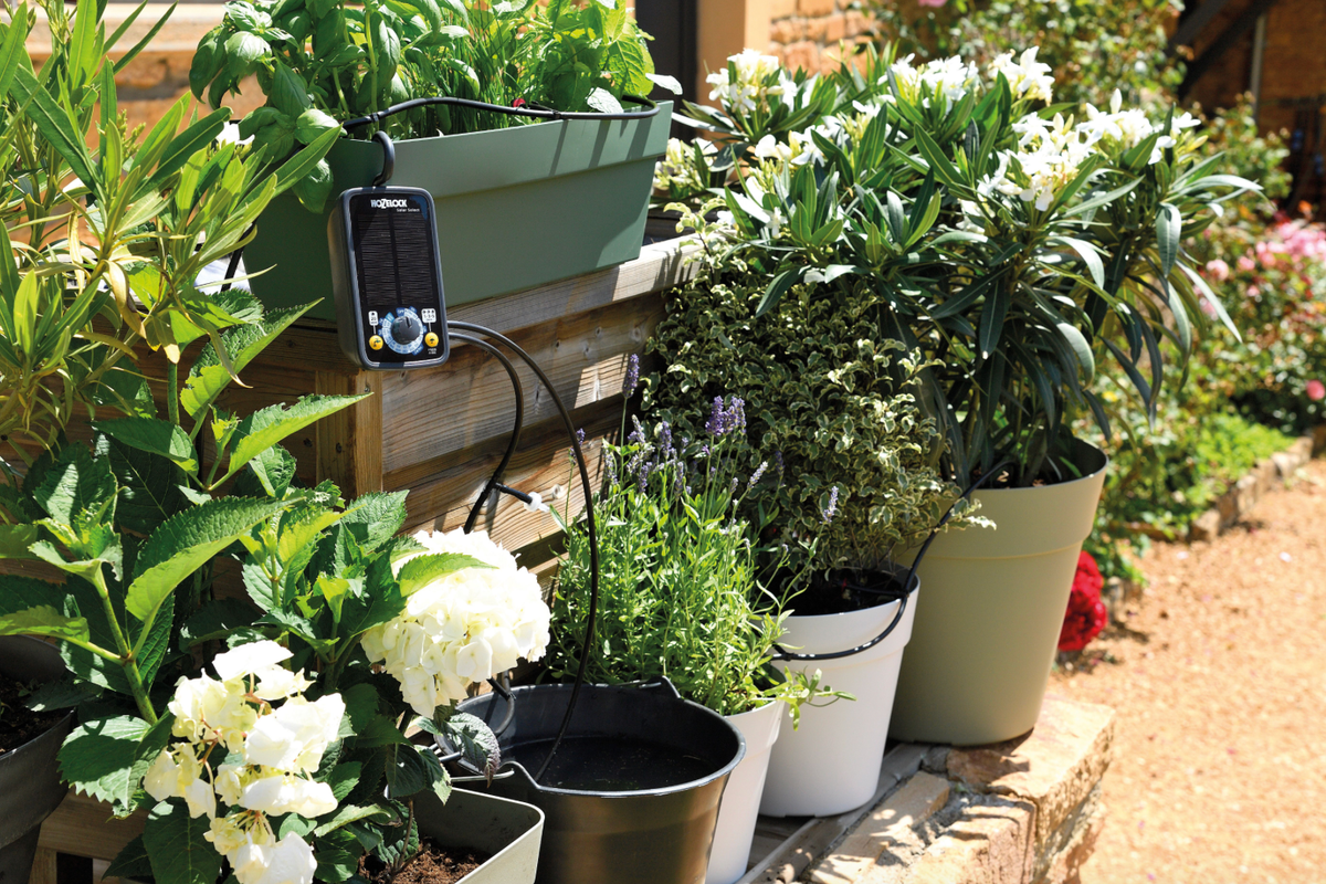 Watering aids to help you through the drier months
