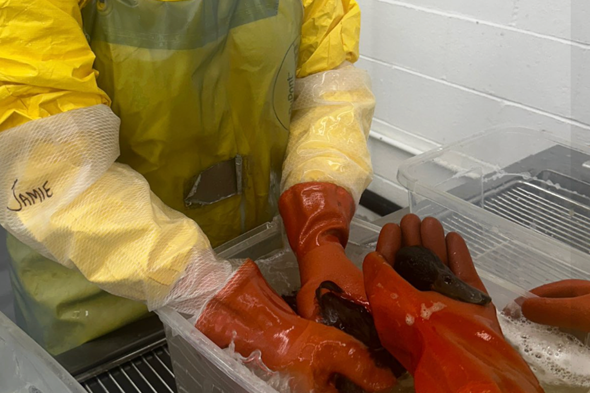 Extensive cleanup underway in Los Angeles after…