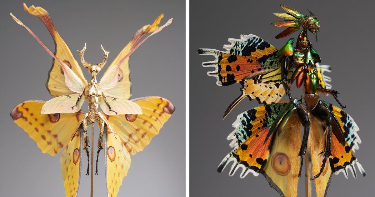 Amsterdam-Based Artist Creates Surreal Sculptures…