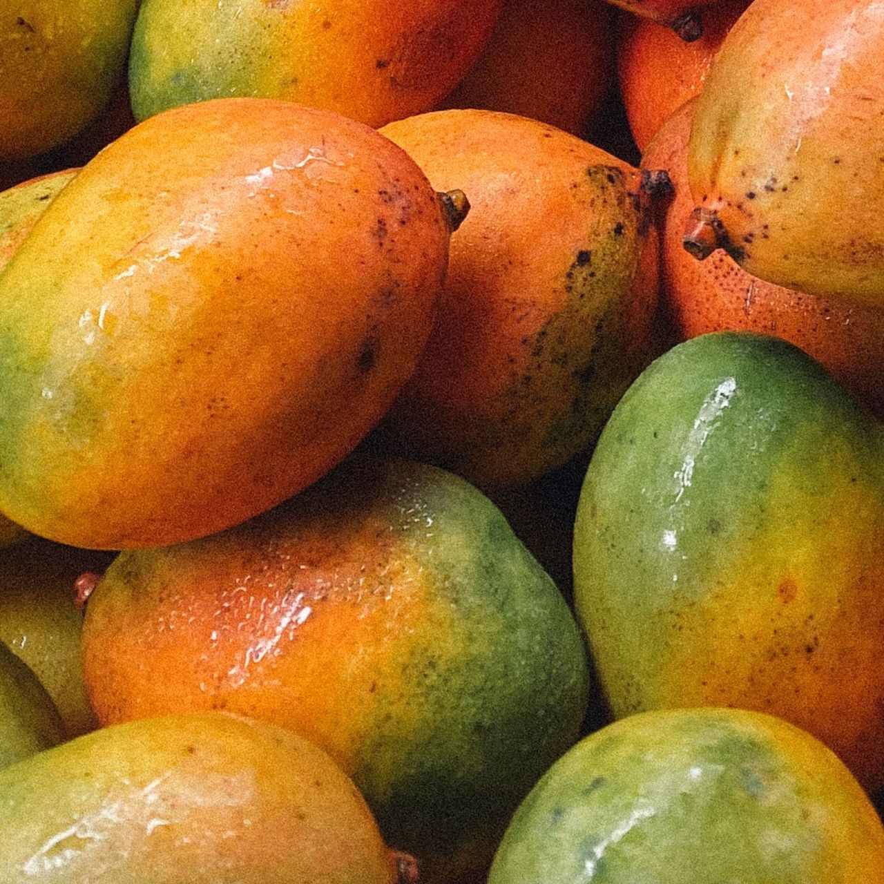 Supercharge Your Gut Health With These…