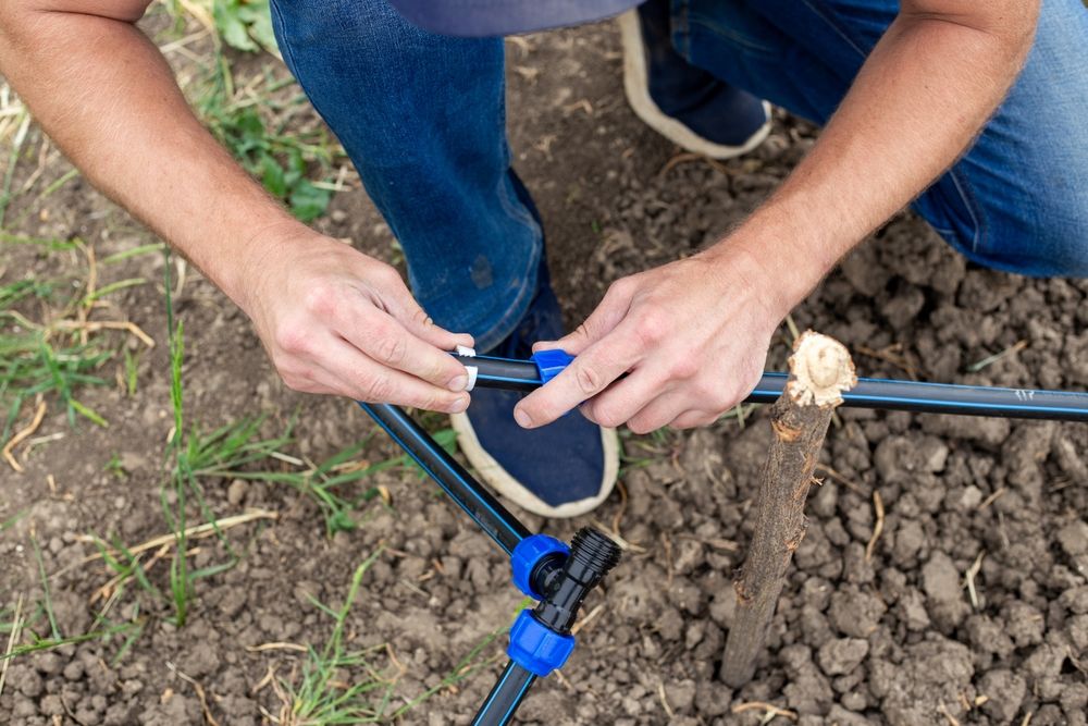 Install a DIY Drip Irrigation System to Save Water and…
