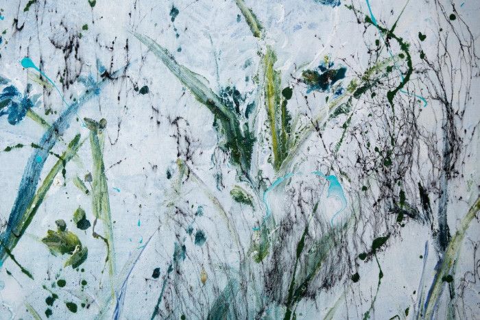 Eternity in focus at 'Stillness In Bloom'