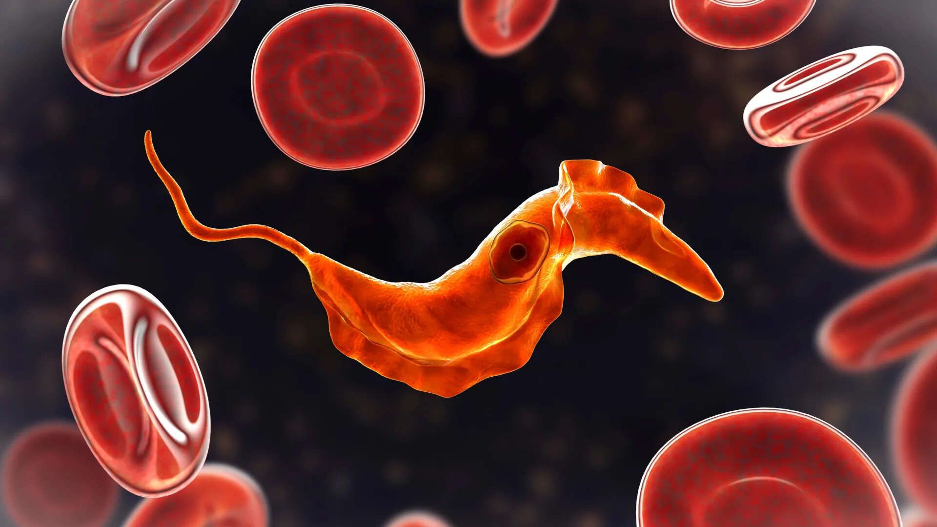How your blood formed? Scientists say ancient…
