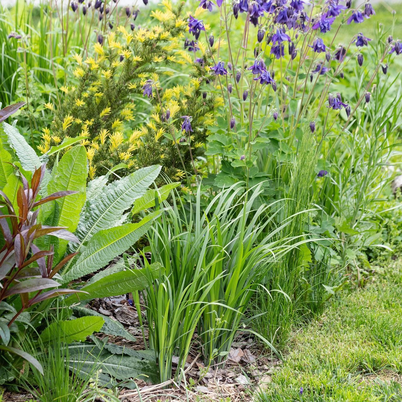The easy 70/30 planting rule is the clever trick…