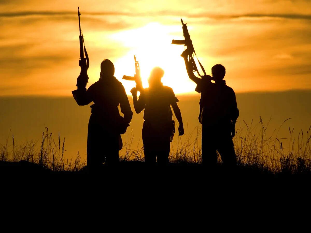 ISI asks terror sympathisers to join national…