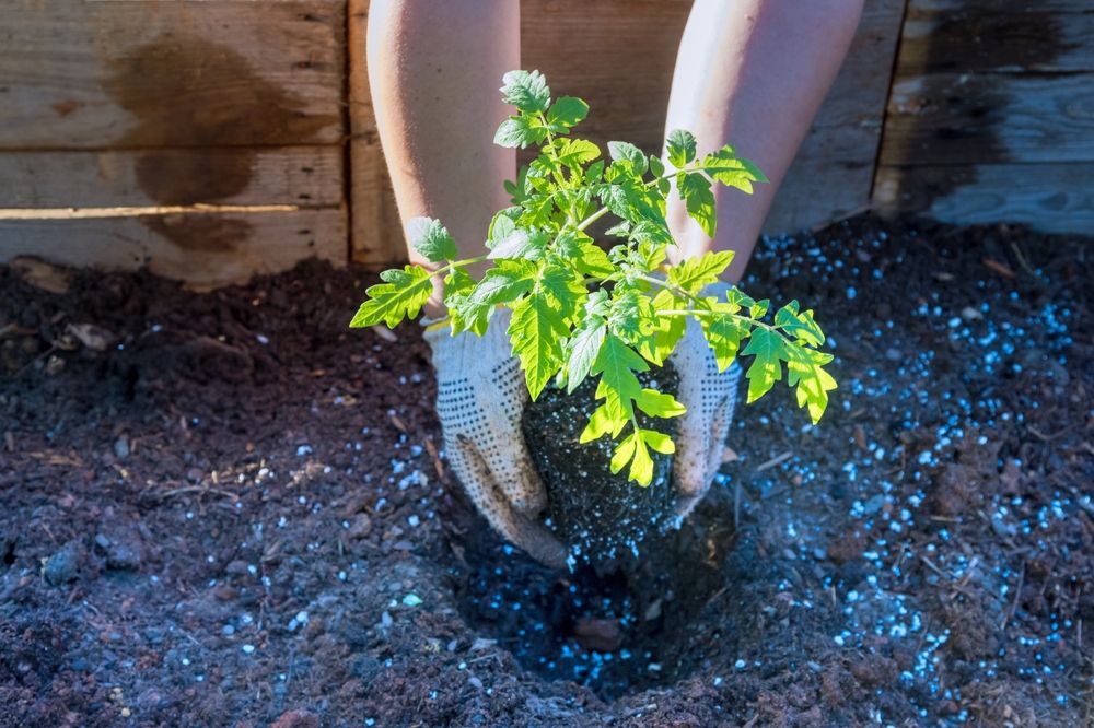 8 Beginning Gardening Tips That Will Make You a Better…