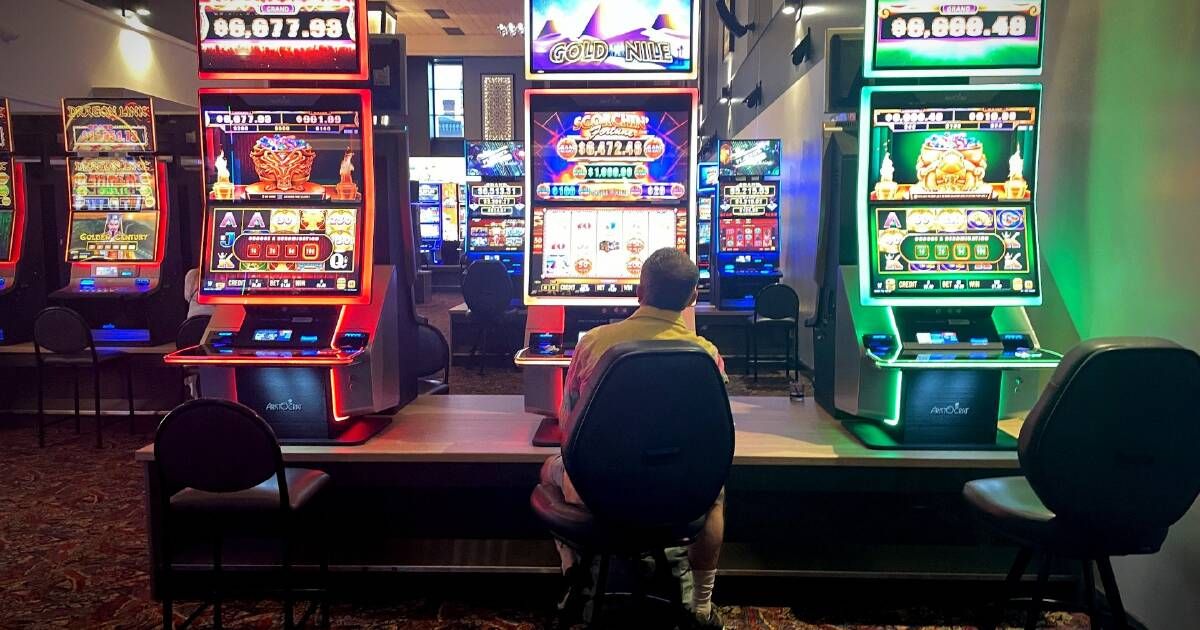 'Grotesque Groundhog Day': here's how much poker…