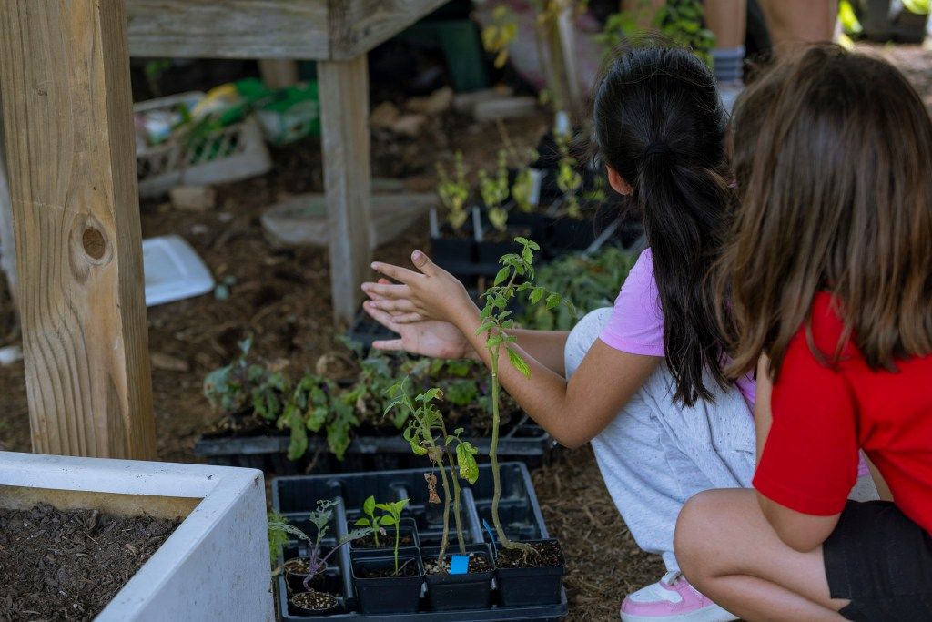 How Cherokee farming traditions are transforming one…