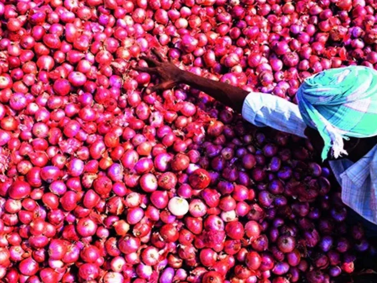 Government raises onion buffer stock purchase price…