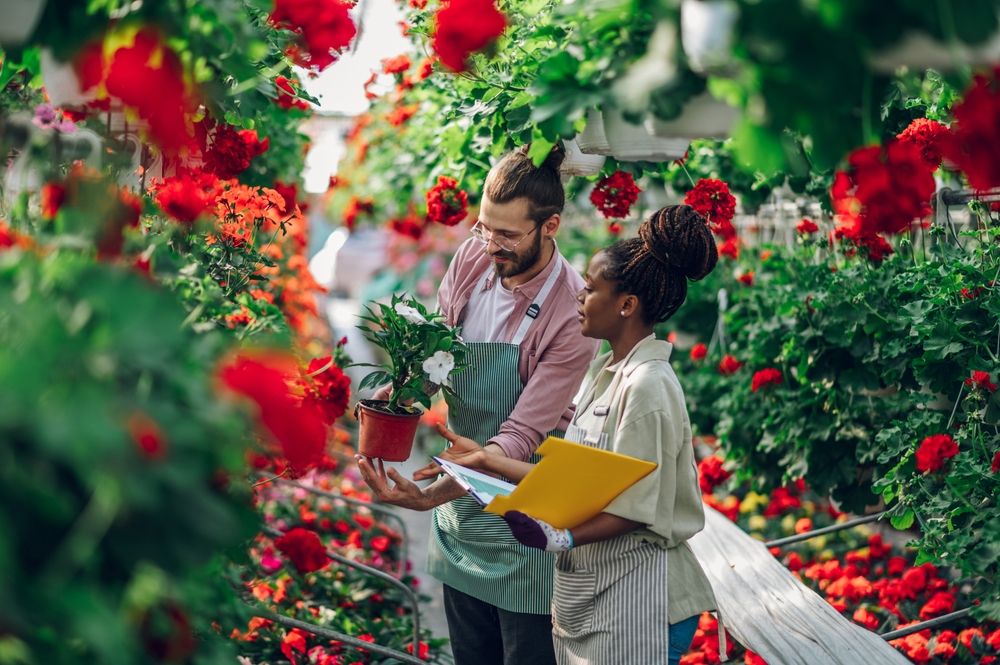 The Garden Center Advice That Cost Me Hundreds of…