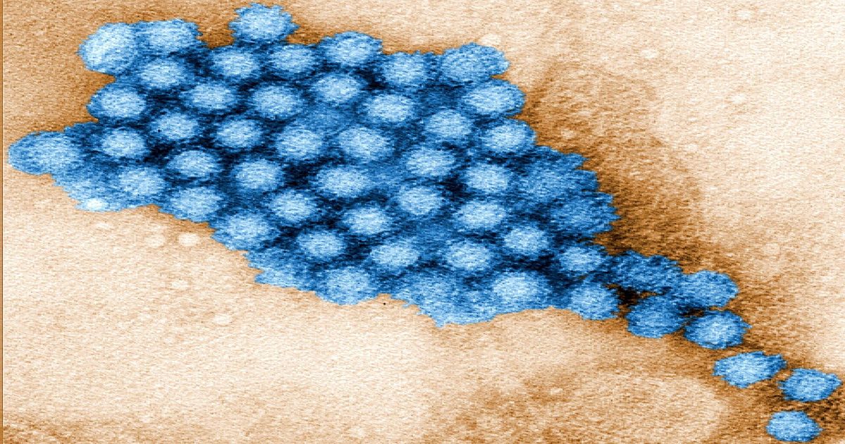 Is a 'Vomiting Virus' Sweeping the US? New Data…