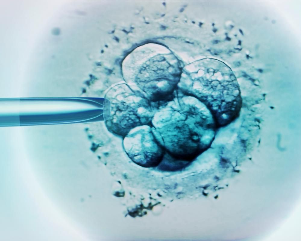 TV tonight: alarming discoveries about IVF treatments…