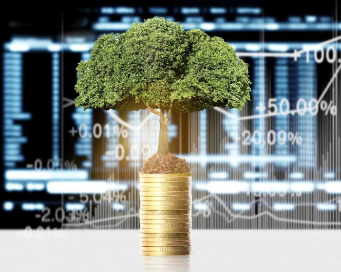 Local sustainable bond issuance exceeds B1.1tn