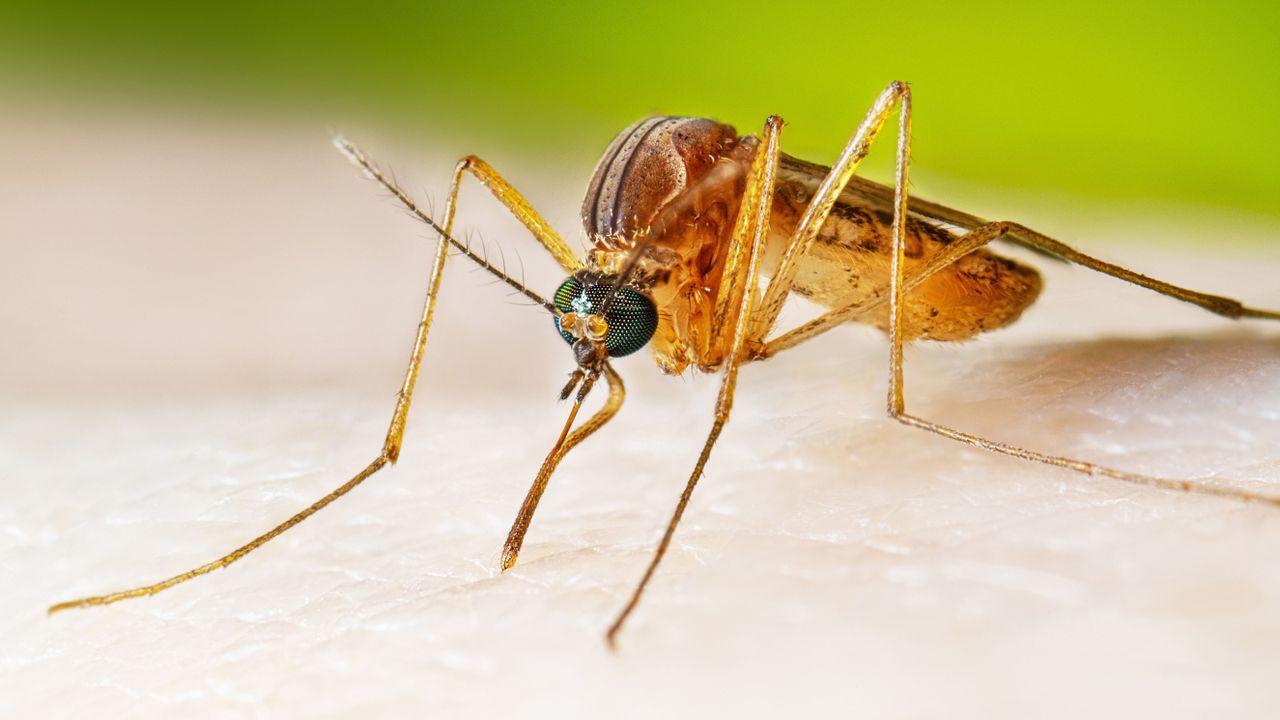 Google wants to release 64 million bacteria-riddled…