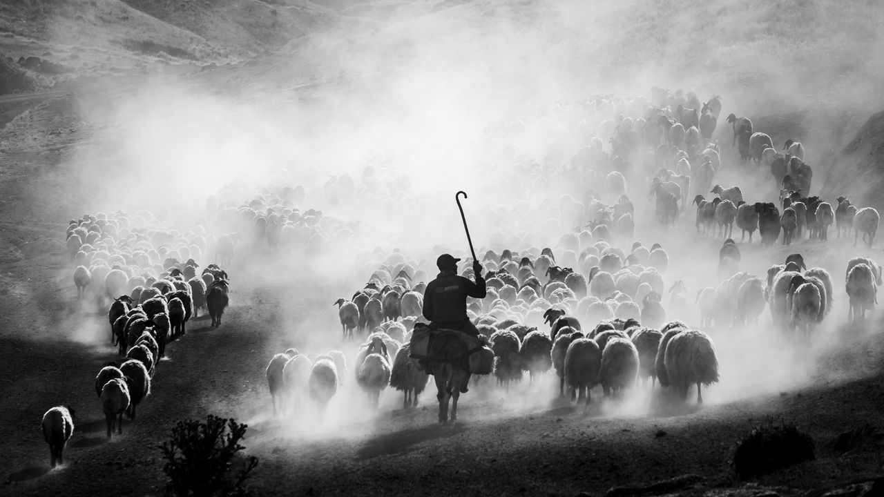 Cinematic black-and-white image wins major photography…