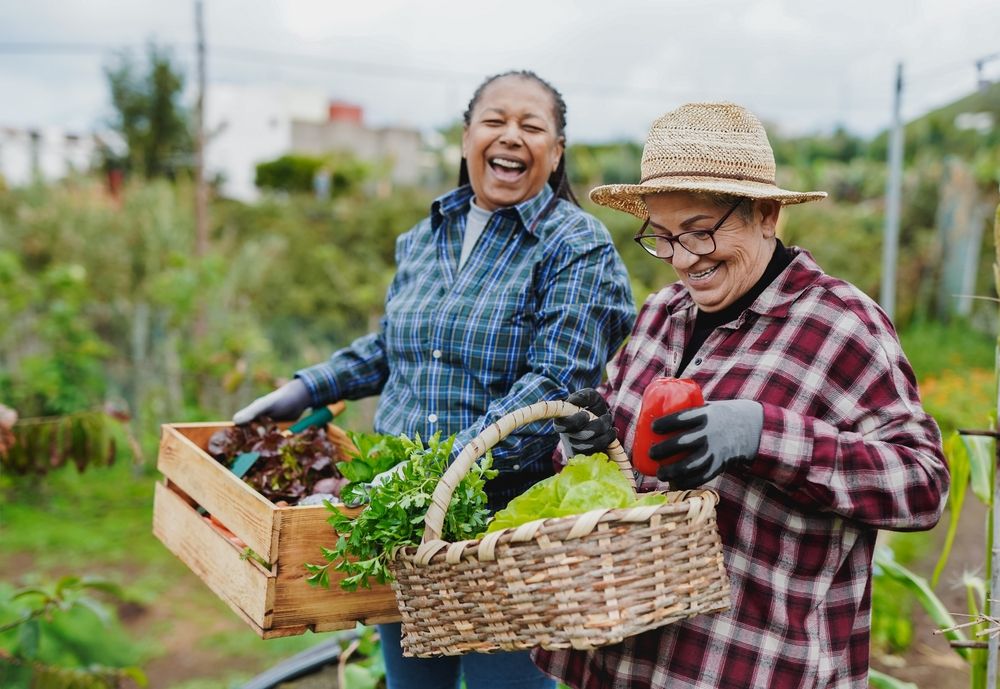 The Gardening Trend Millennials and Retirees Suddenly…