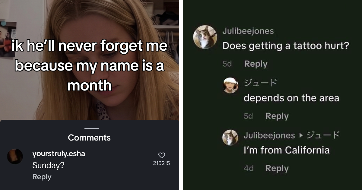 “Hippo Crisps”: 47 Wild TikTok Screenshots That Cost…