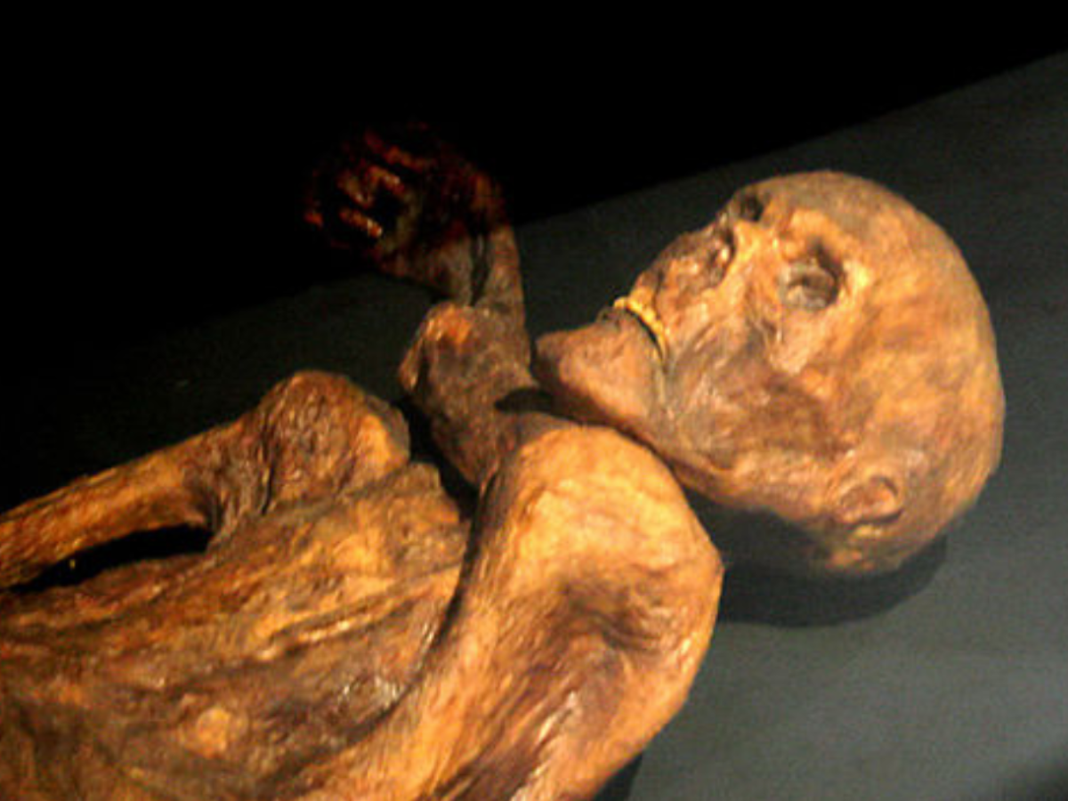 In 1991, hikers in the Alps saw a body in melting ice…