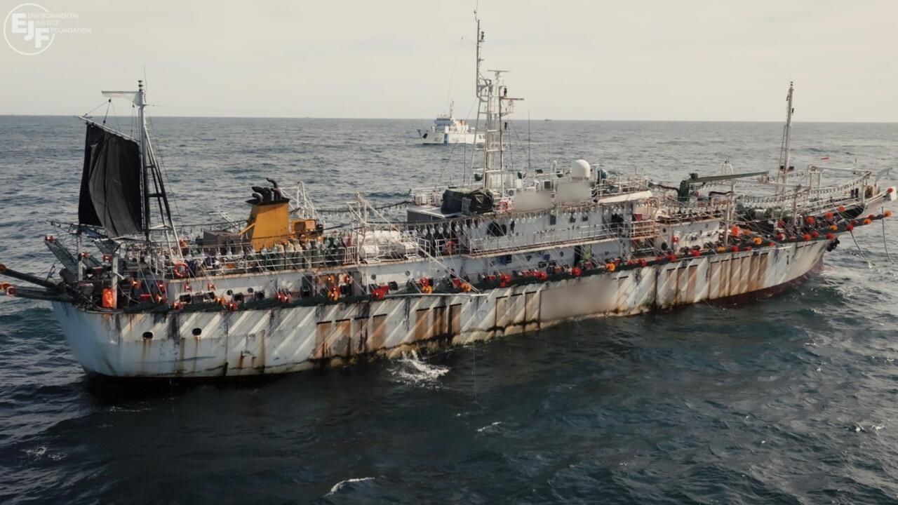Squid fleets exposed: Investigation reveals illegal…