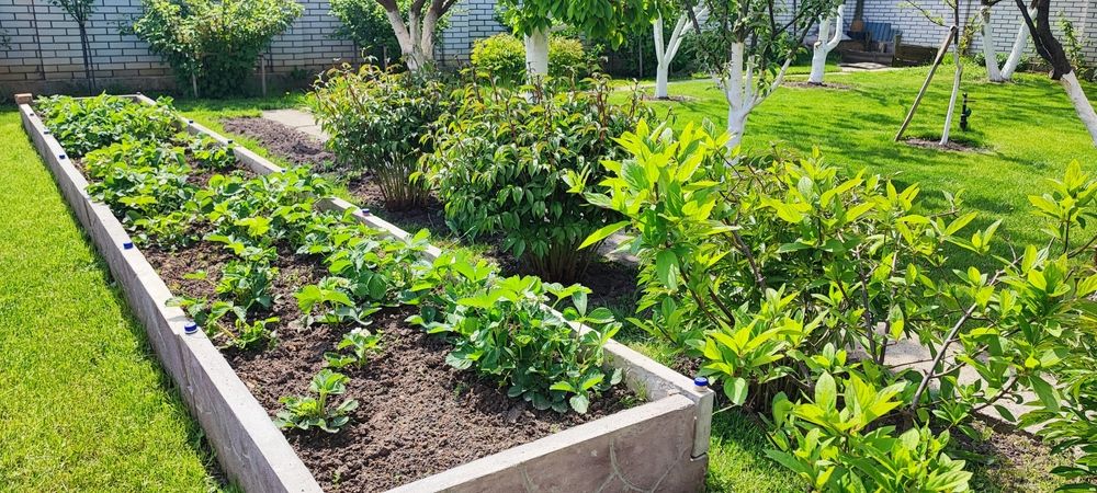 The Backyard Feature Buyers Are Quietly Looking For in…