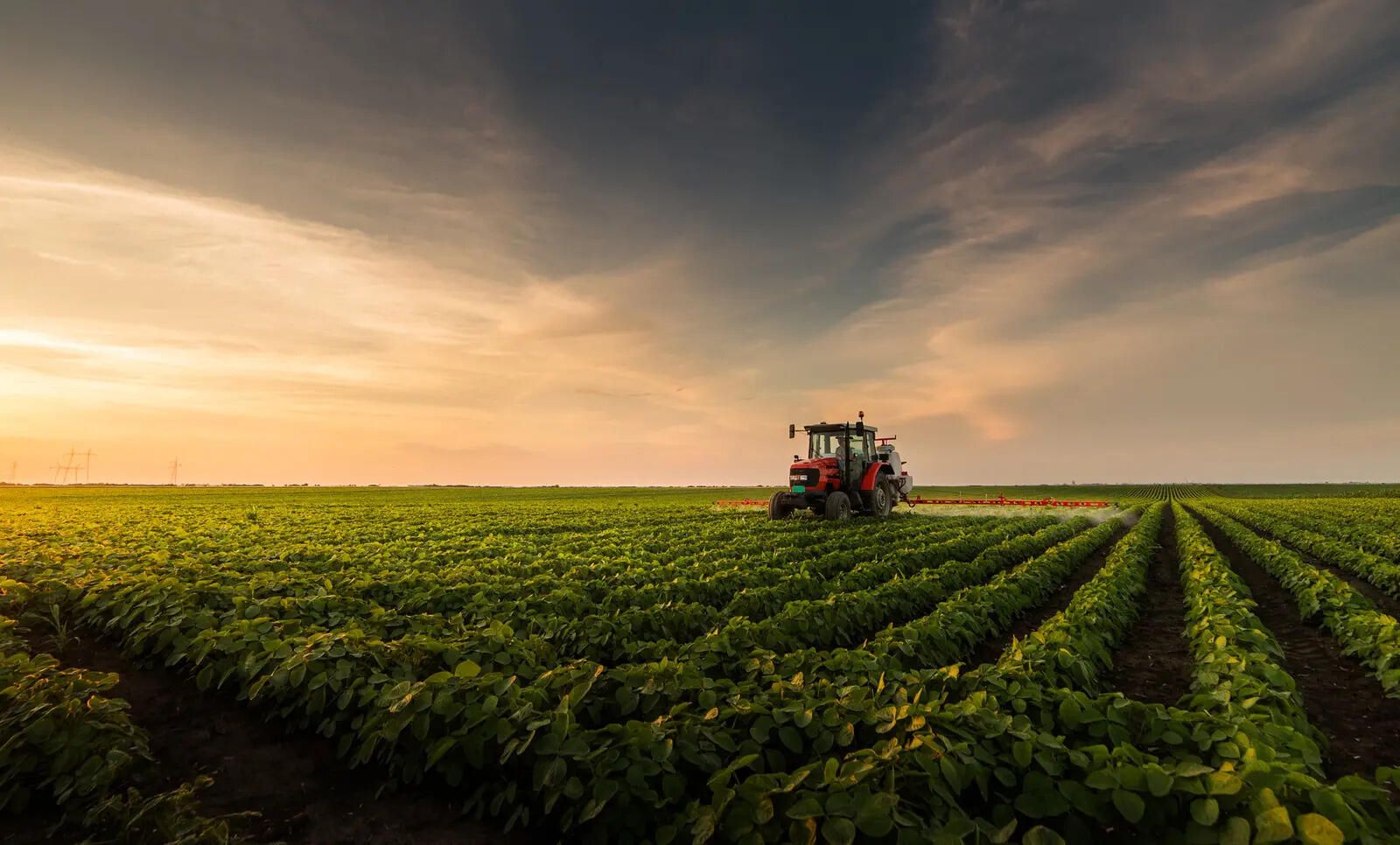 BRICS+ agriculture beyond borders: Trade and…