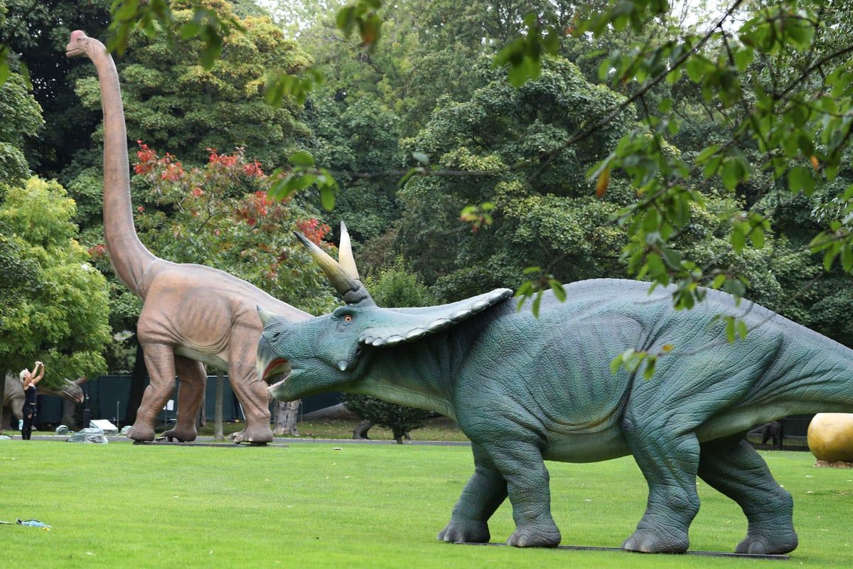 Meteorite that killed dinosaurs also created…