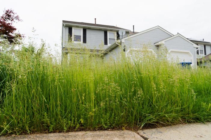 7 Yard Features That Lower Your Resale Value