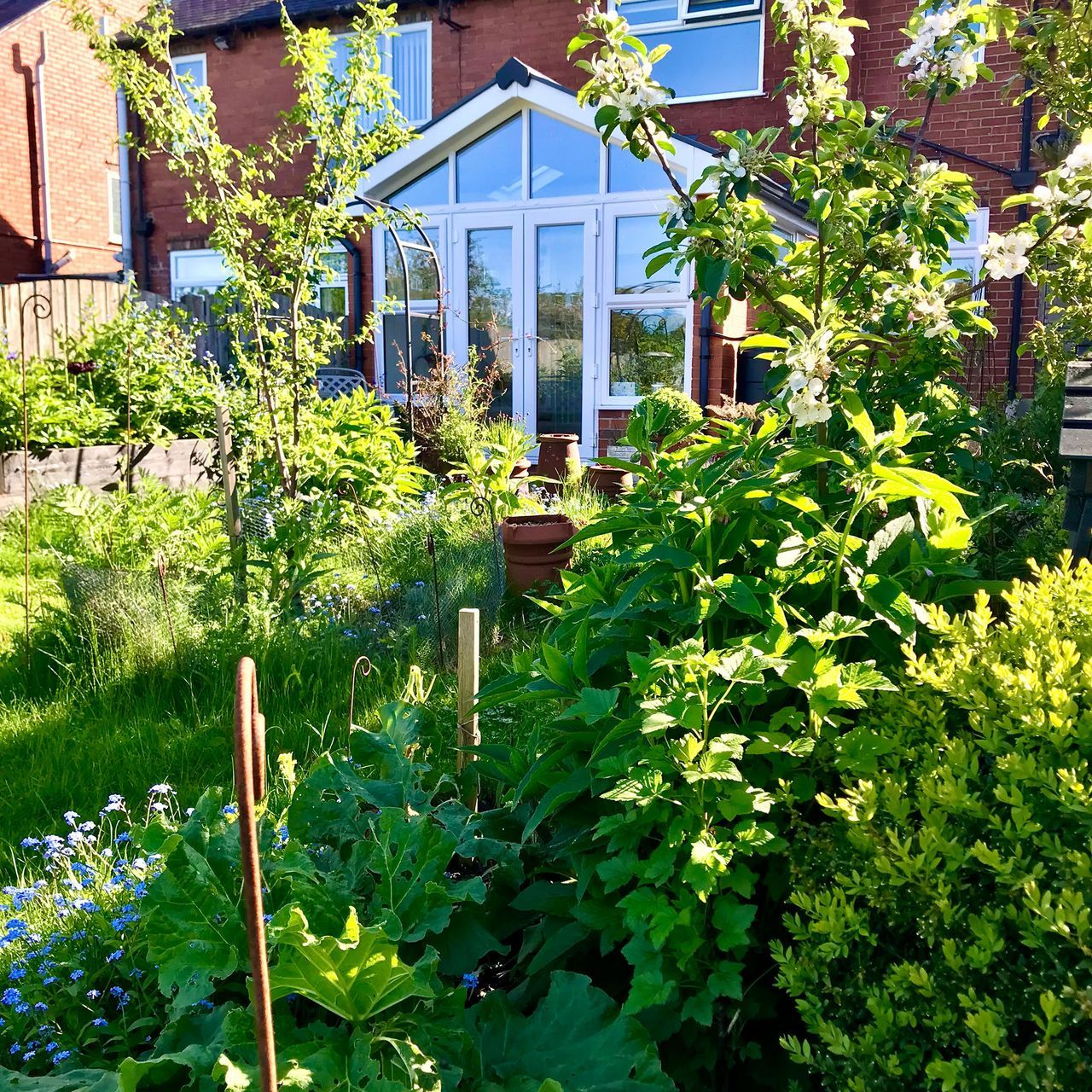 My garden is my therapist, keeping me grounded in an…