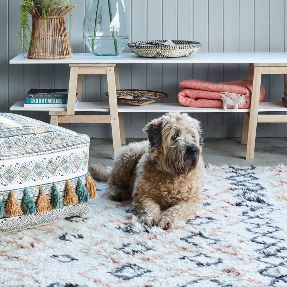 The cleaning tips every pet-lover should know to keep…