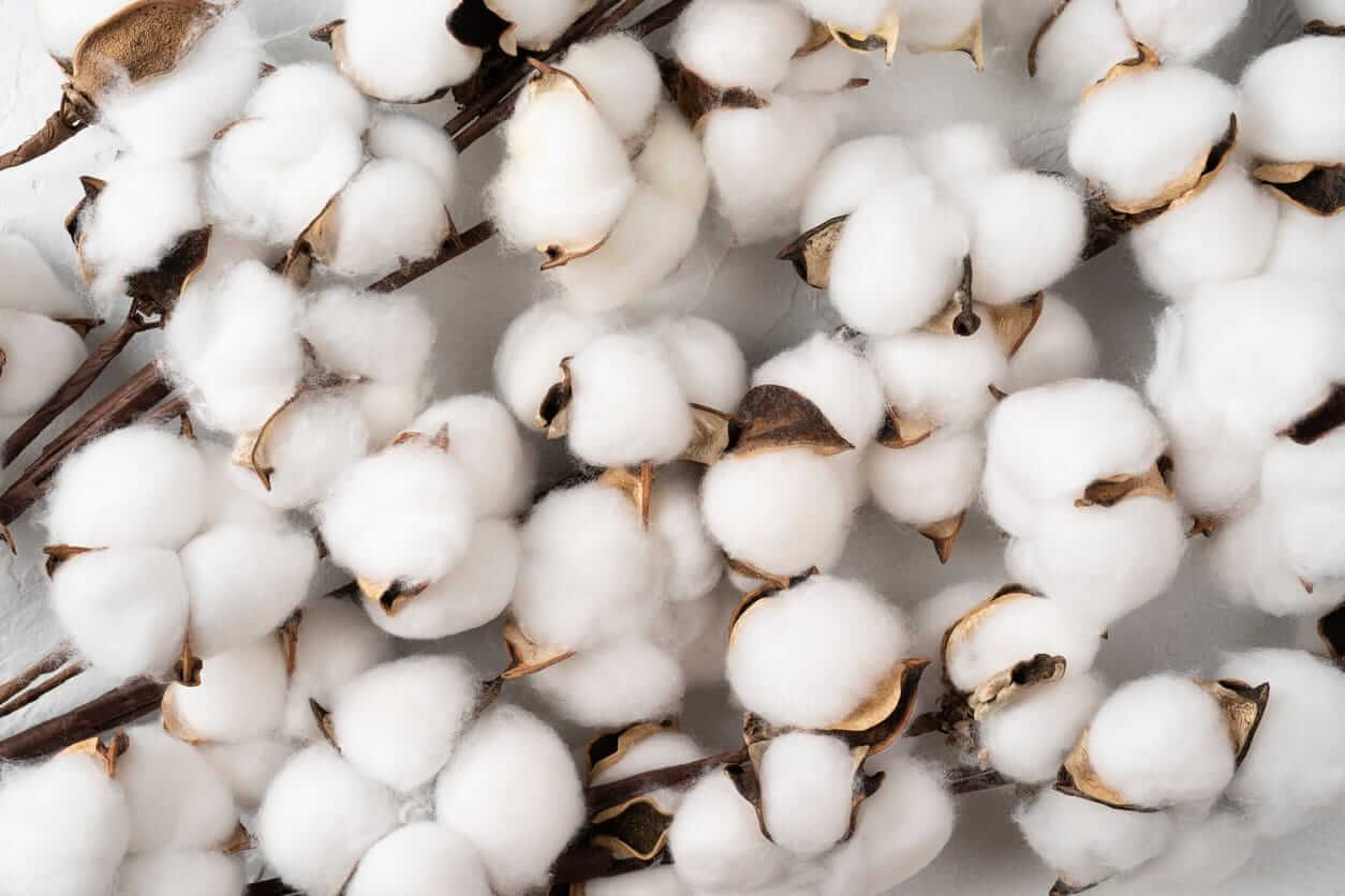 Cotton Closes Mixed on Wednesday