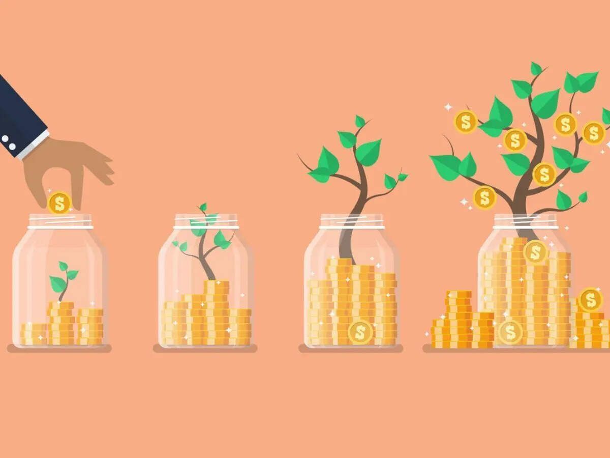Best focused mutual funds to invest in June 2026