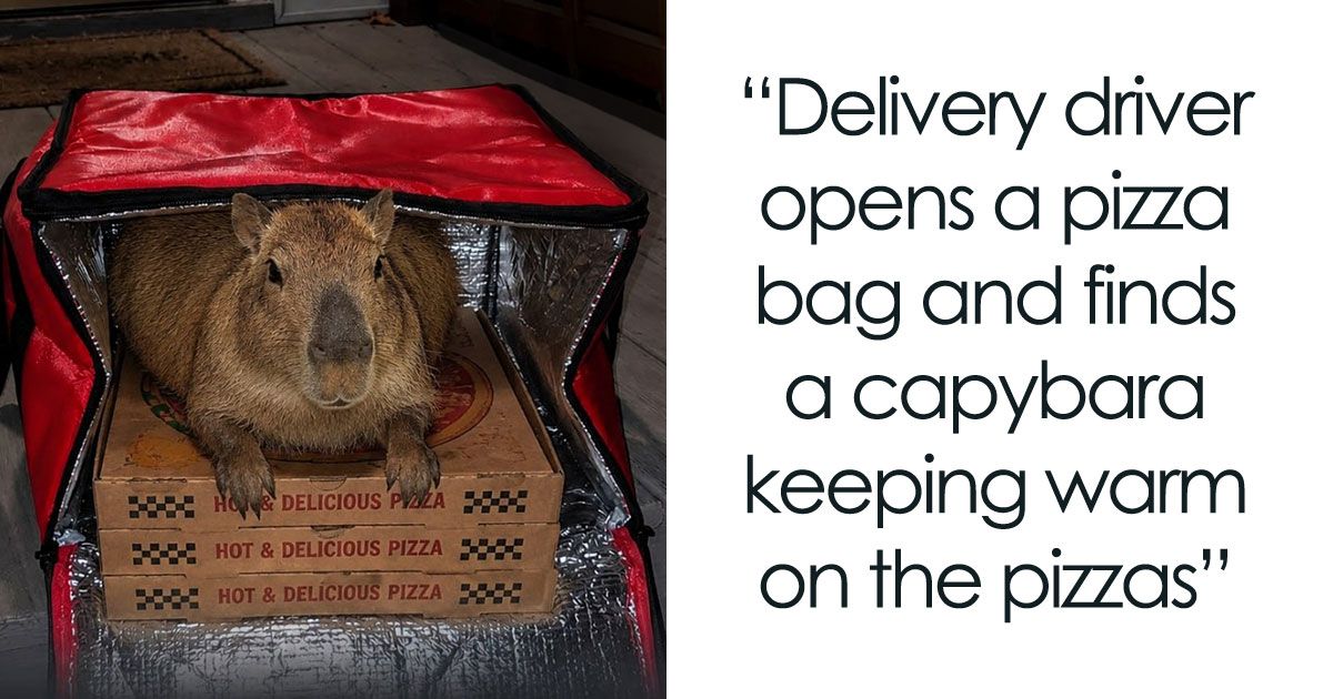 This Page Shared 25 Fictional Capybara “Facts” That…