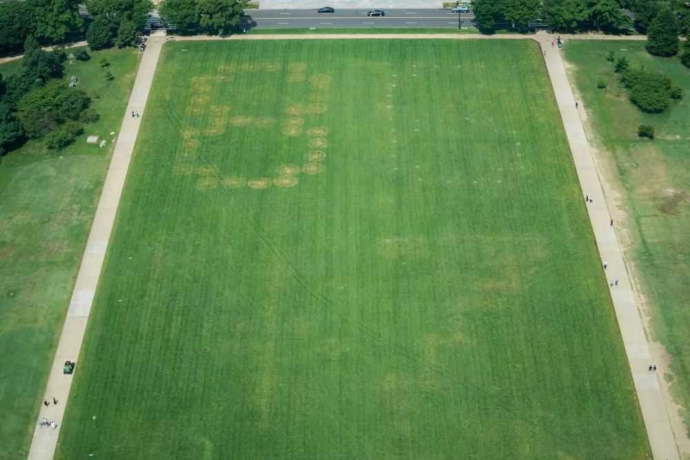 US authorities investigate huge etching of ‘8647’ on…