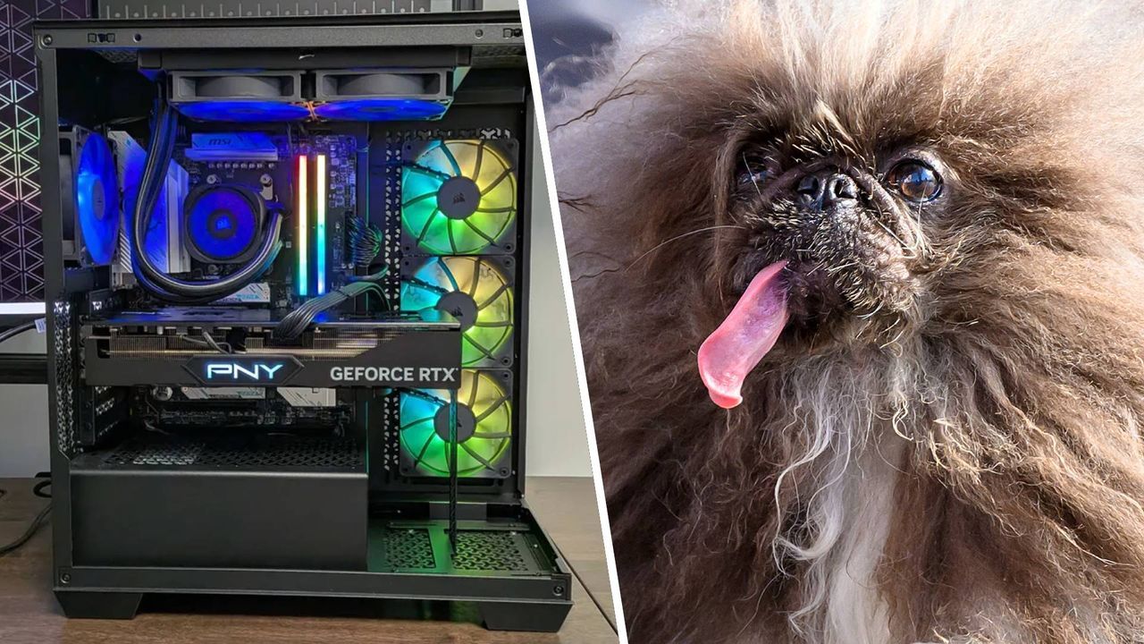 Dog tries to shoot PC gamer, but their rig (and RAM)…
