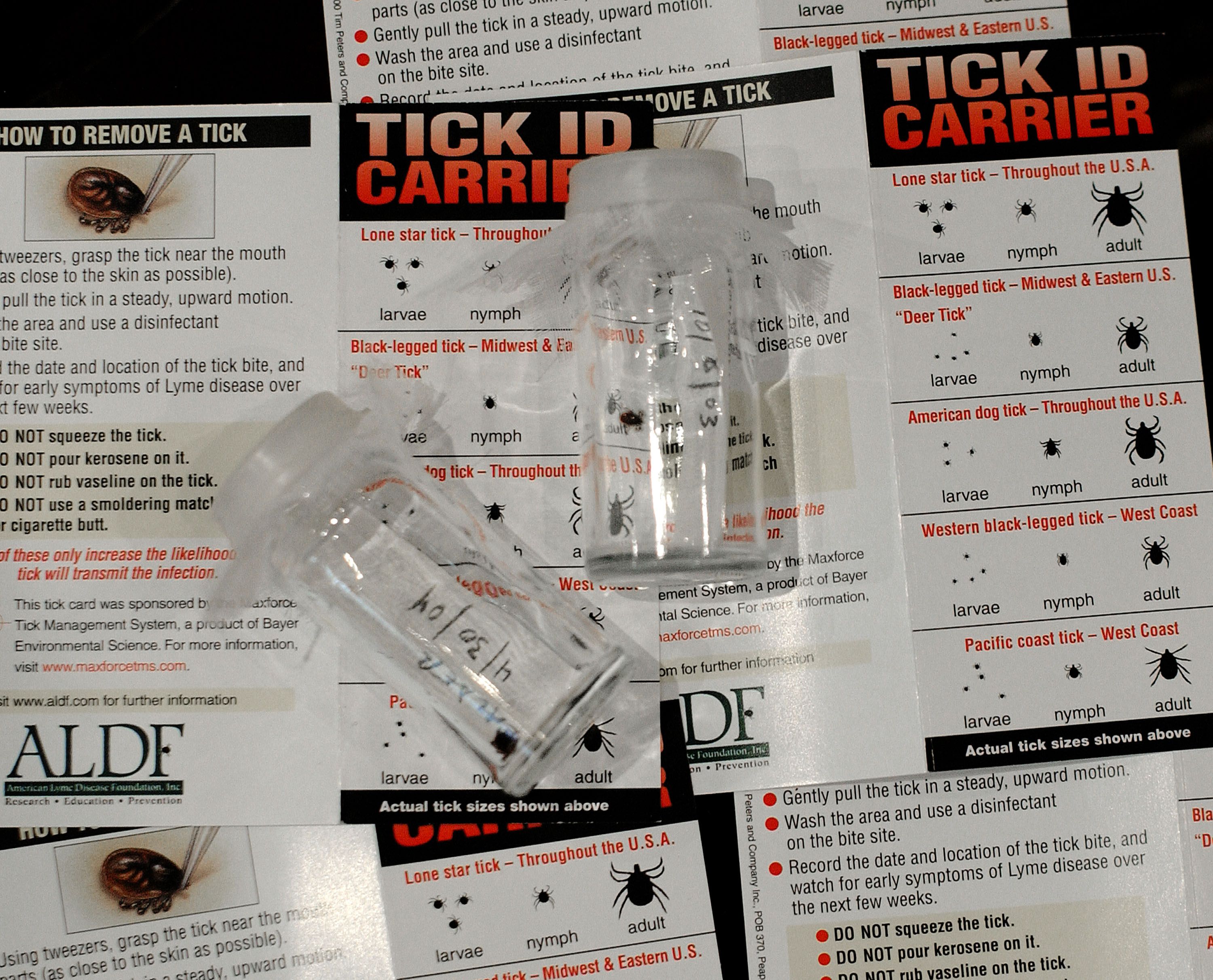 Rocky Mountain Spotted Fever Kills Within Days and Is…