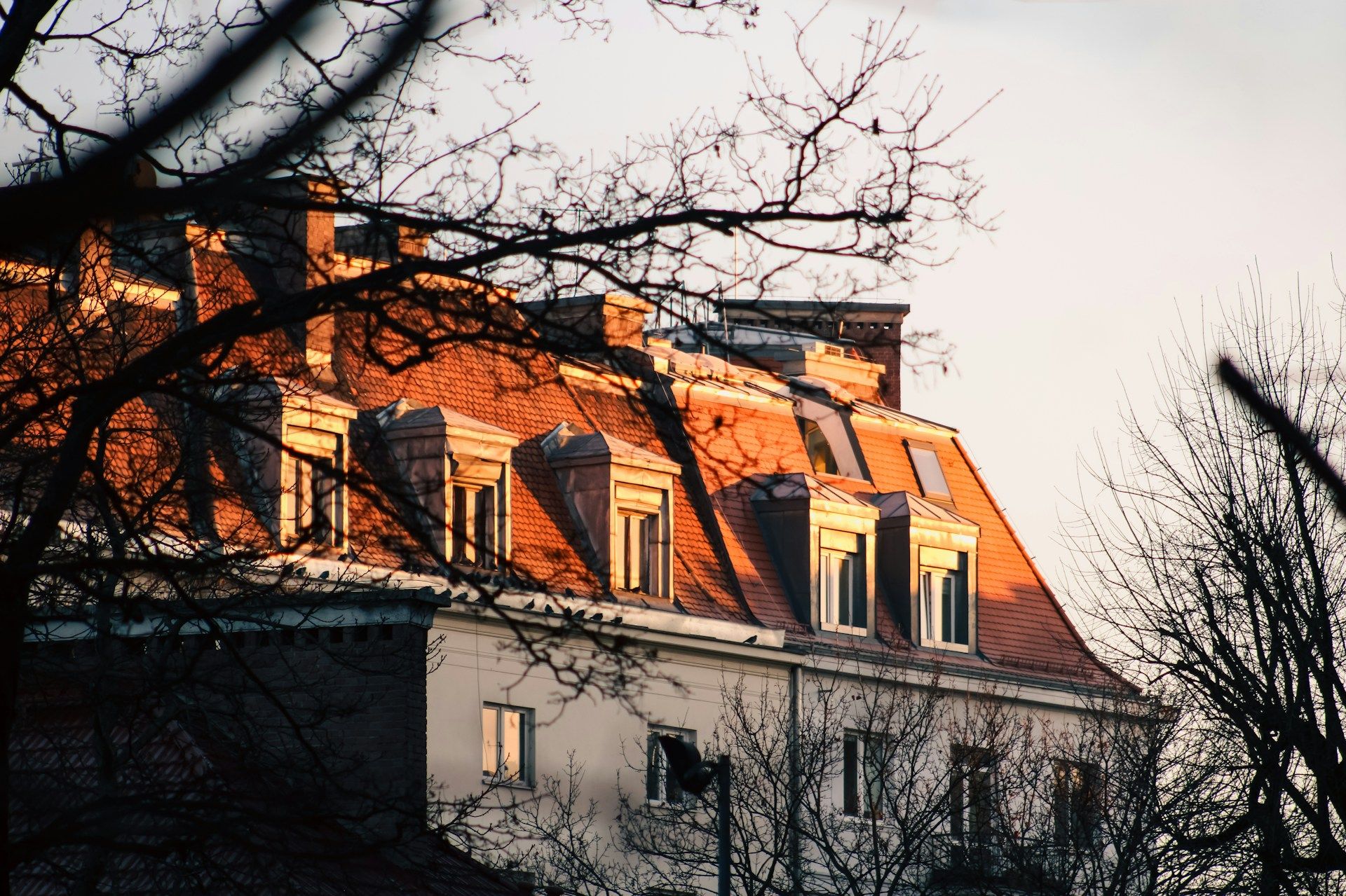 Construction Workers in Poland Find Remains of 29…