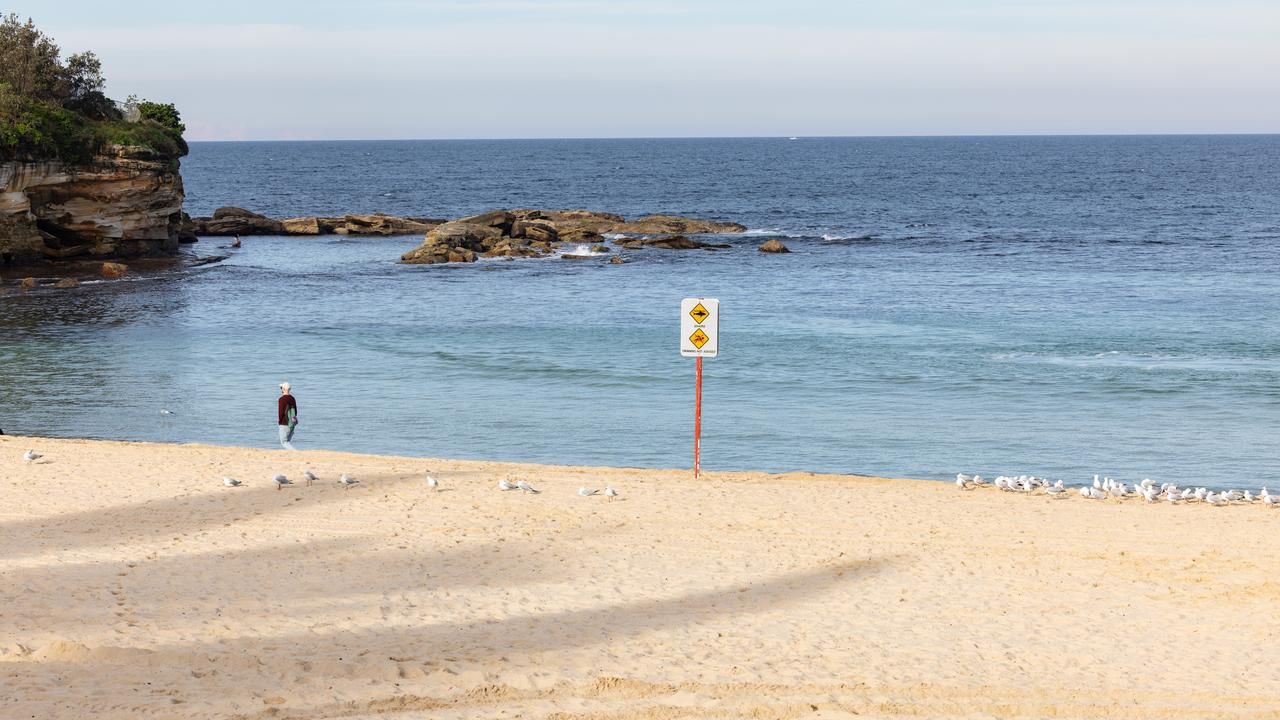 Cull caution urged after city beach shark attack