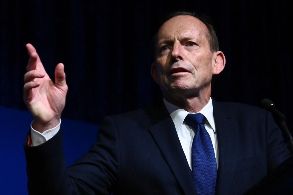 Shark expert says Tony Abbott ‘doesn’t understand the…