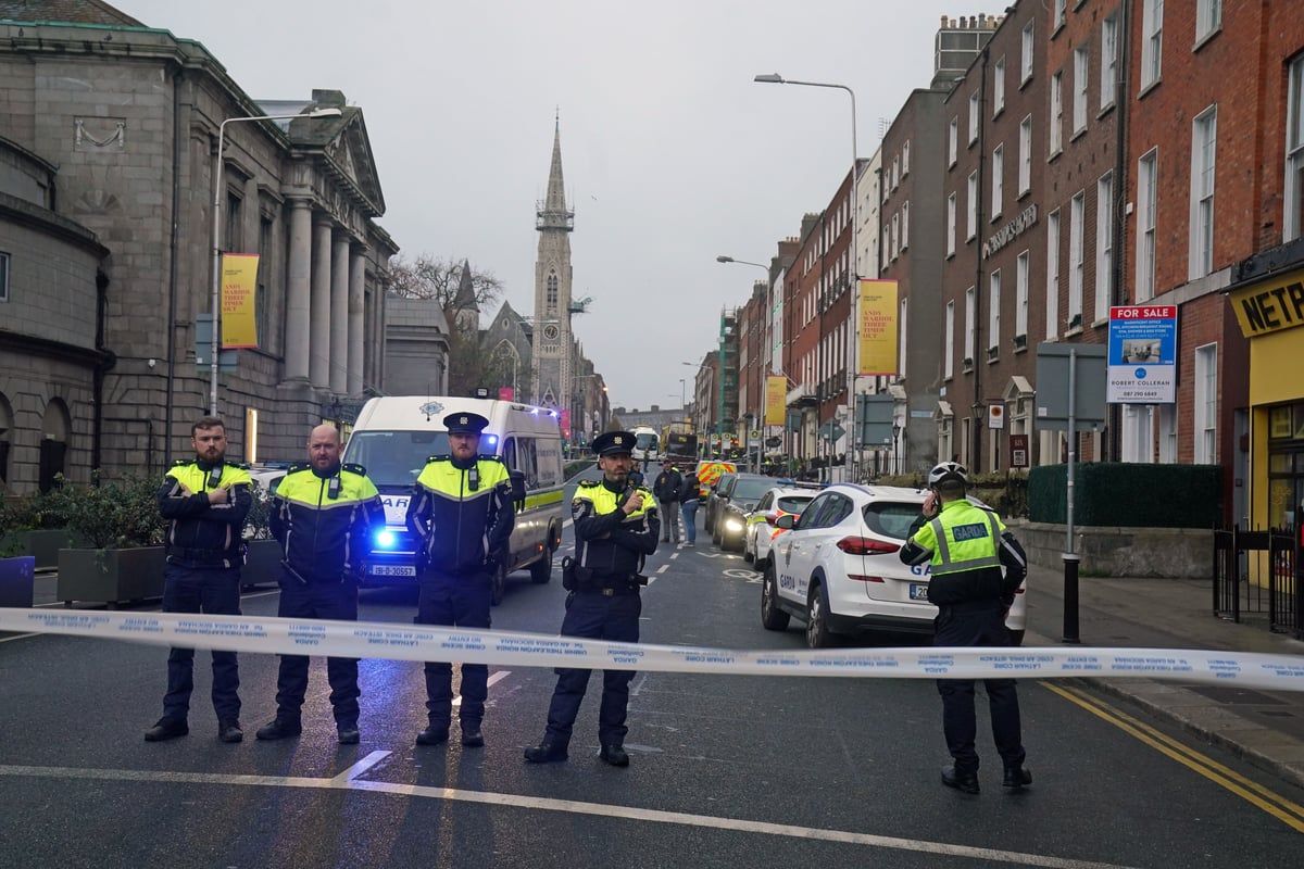Childcare worker describes tackling man during Parnell…