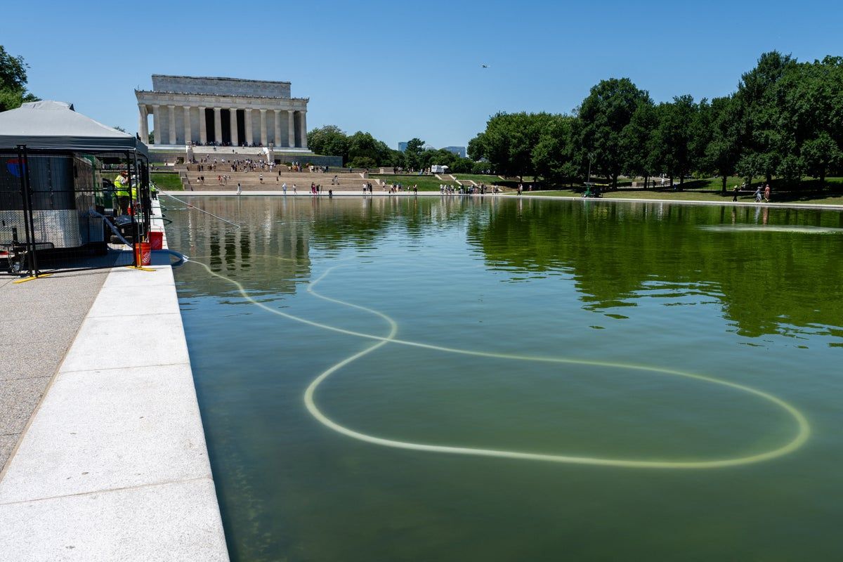 Trump mocked over DC’s algae-infested Reflecting Pool…