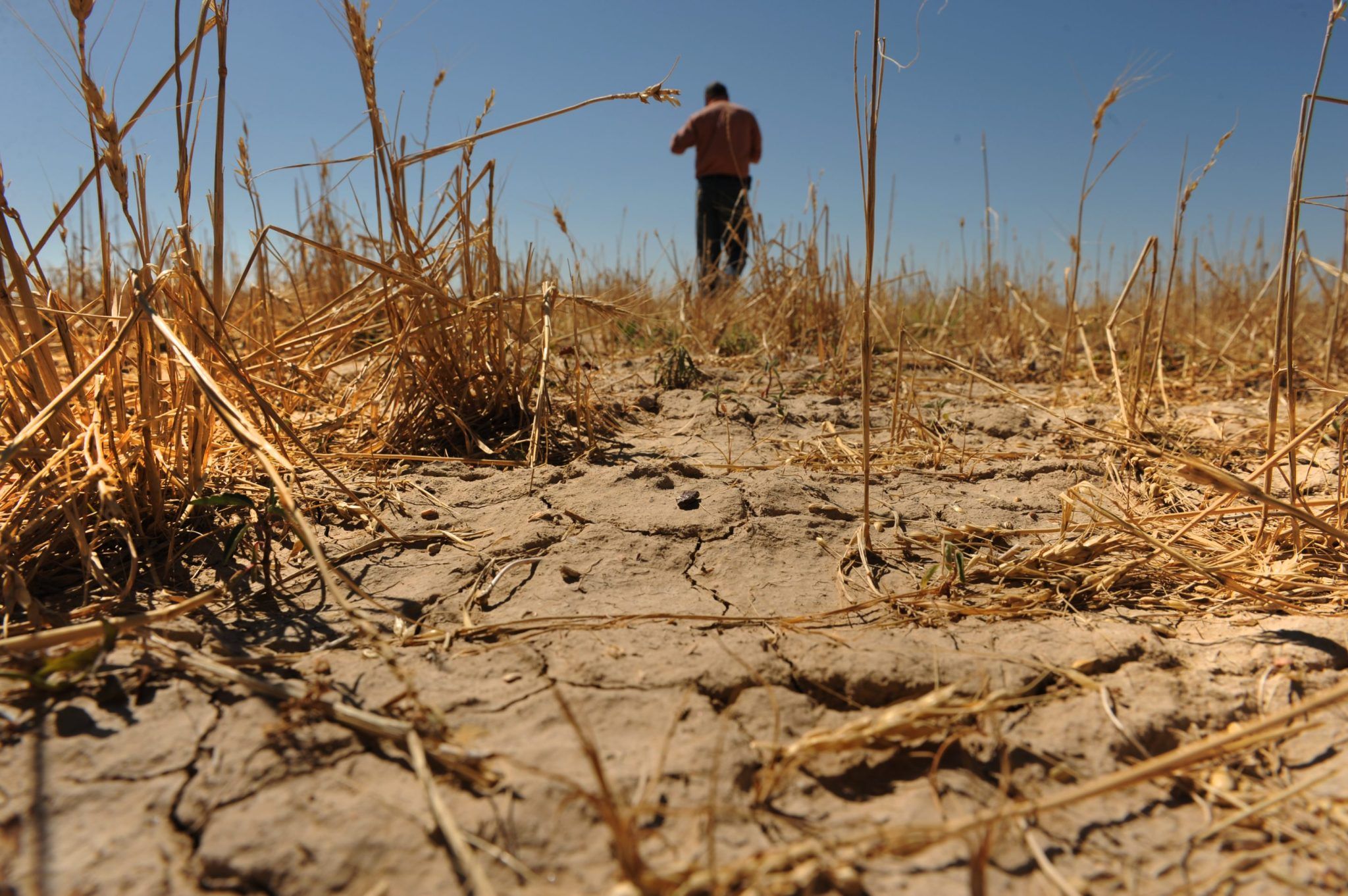 One of the most powerful El Niños on record cost the…