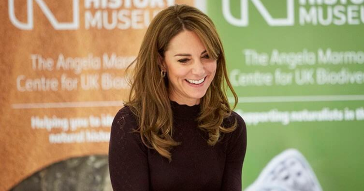 Princess Catherine's Medical Records Targeted in…