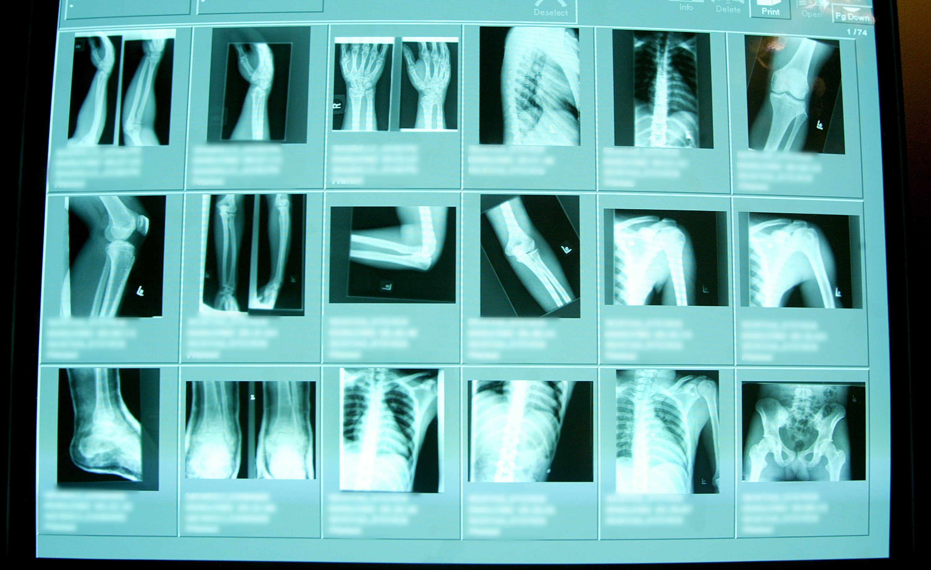 Texas A&M Scientists Unlocked the Human Body's Hidden…