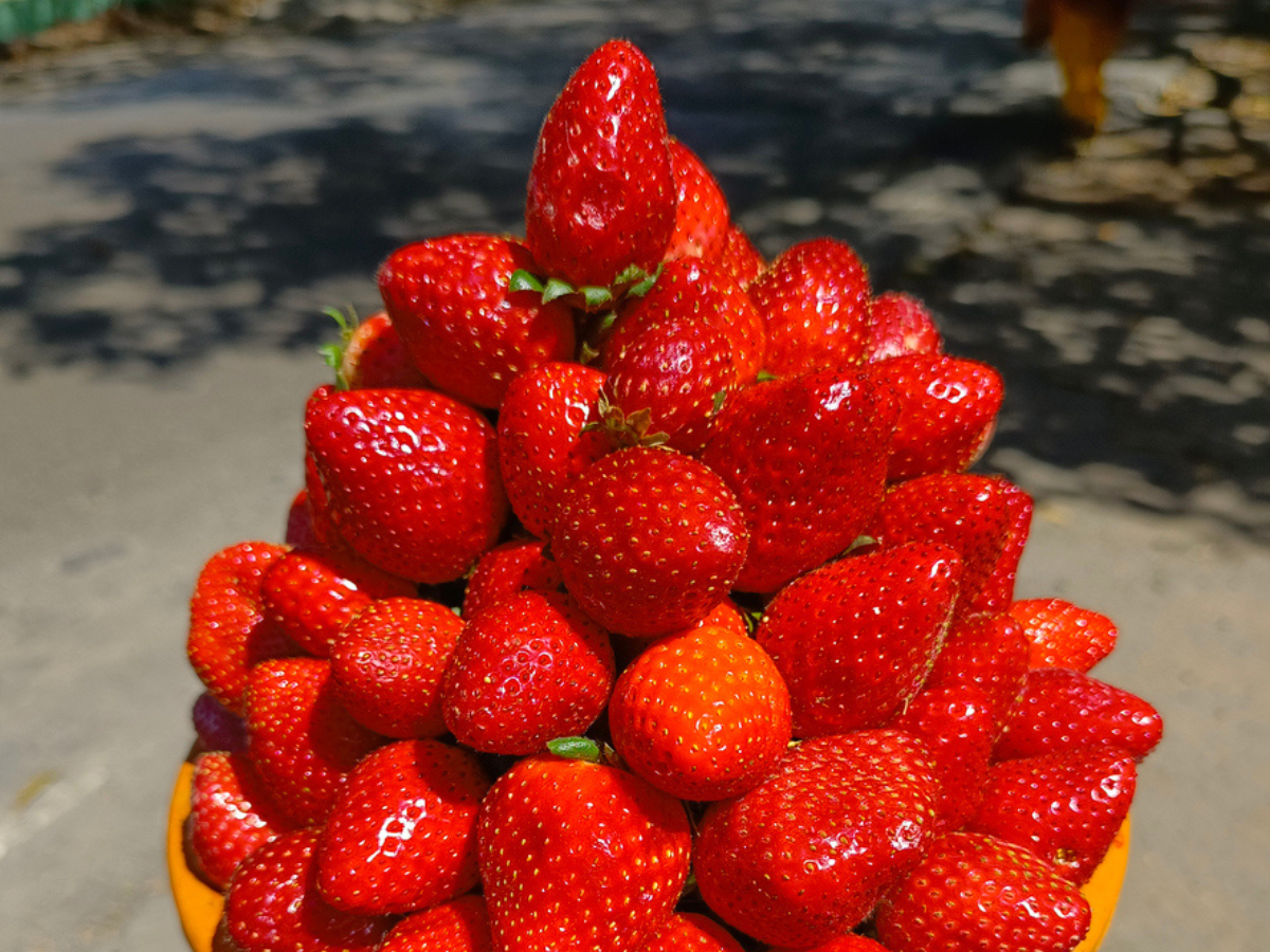 How a fruit born out of 1992 experiment is helping…