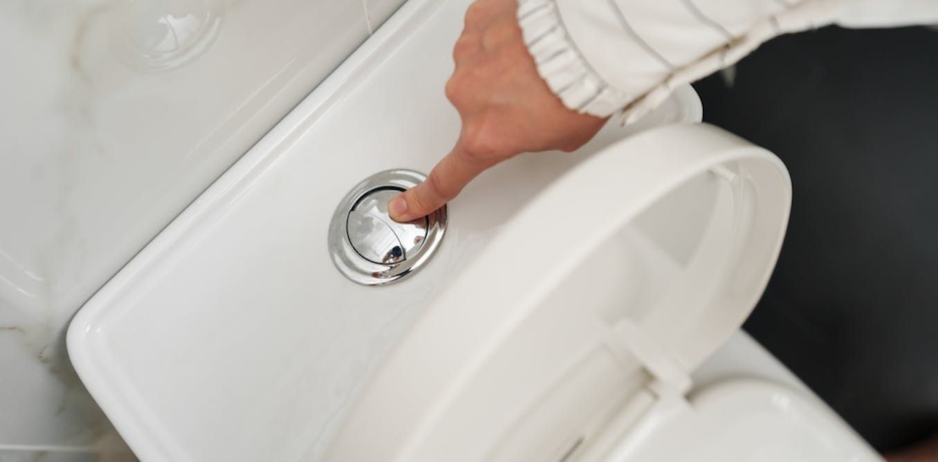 Think before you flush: expert advice on how and when…