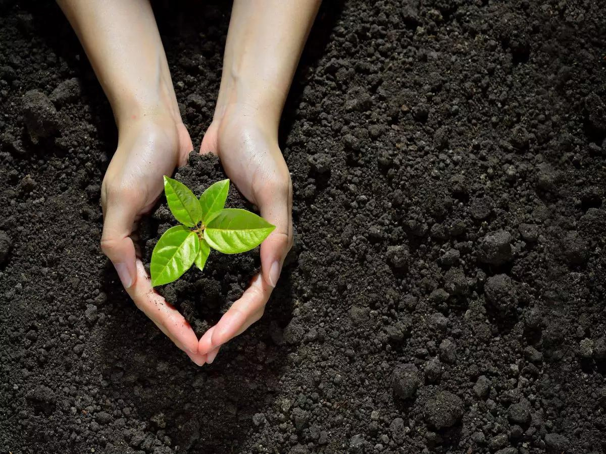 Does planting more trees on farmland actually hurt…