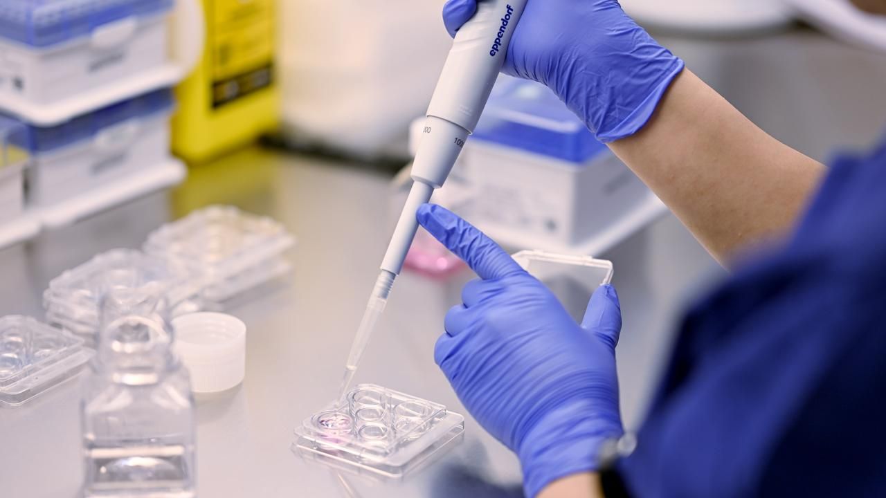 Pricey IVF add-ons fail to improve pregnancy odds