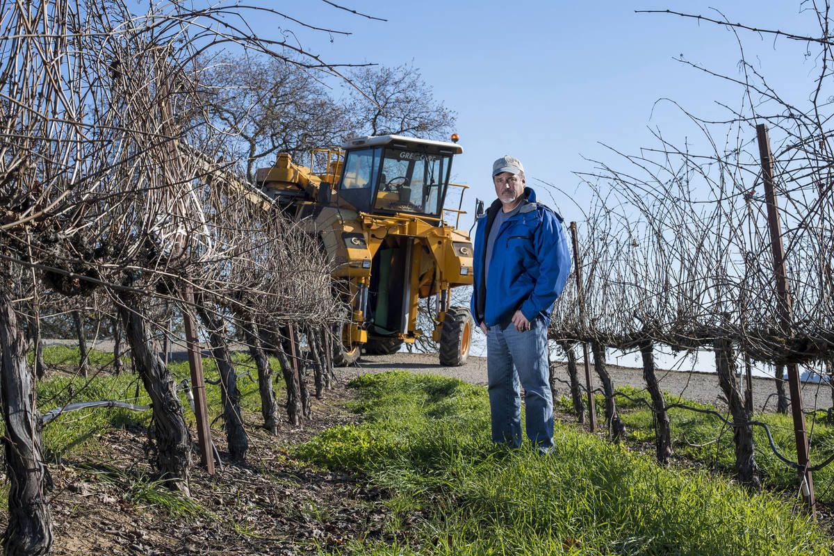 Robot Crop Pickers Limit Loss of Farm Workers to Trump…